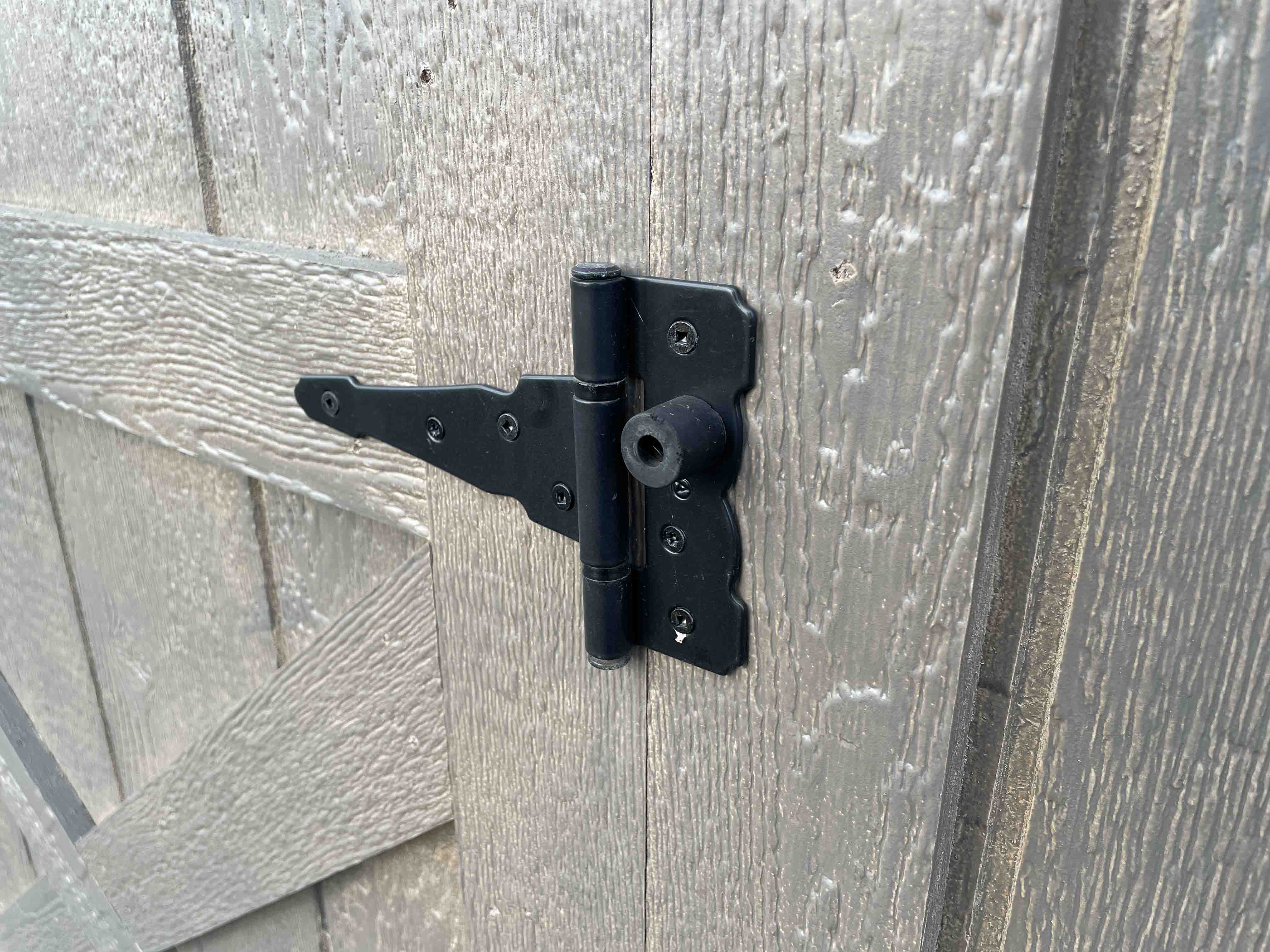 Birch Stain |10x16 Executive Stained Barn